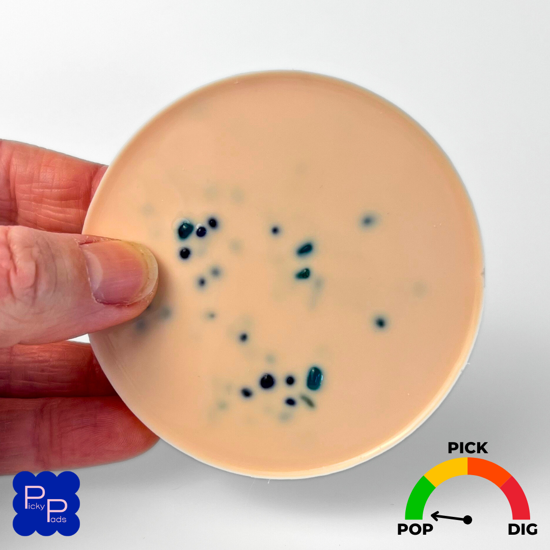 Sensory Picky Pad Fidget Toys – Picky Pads